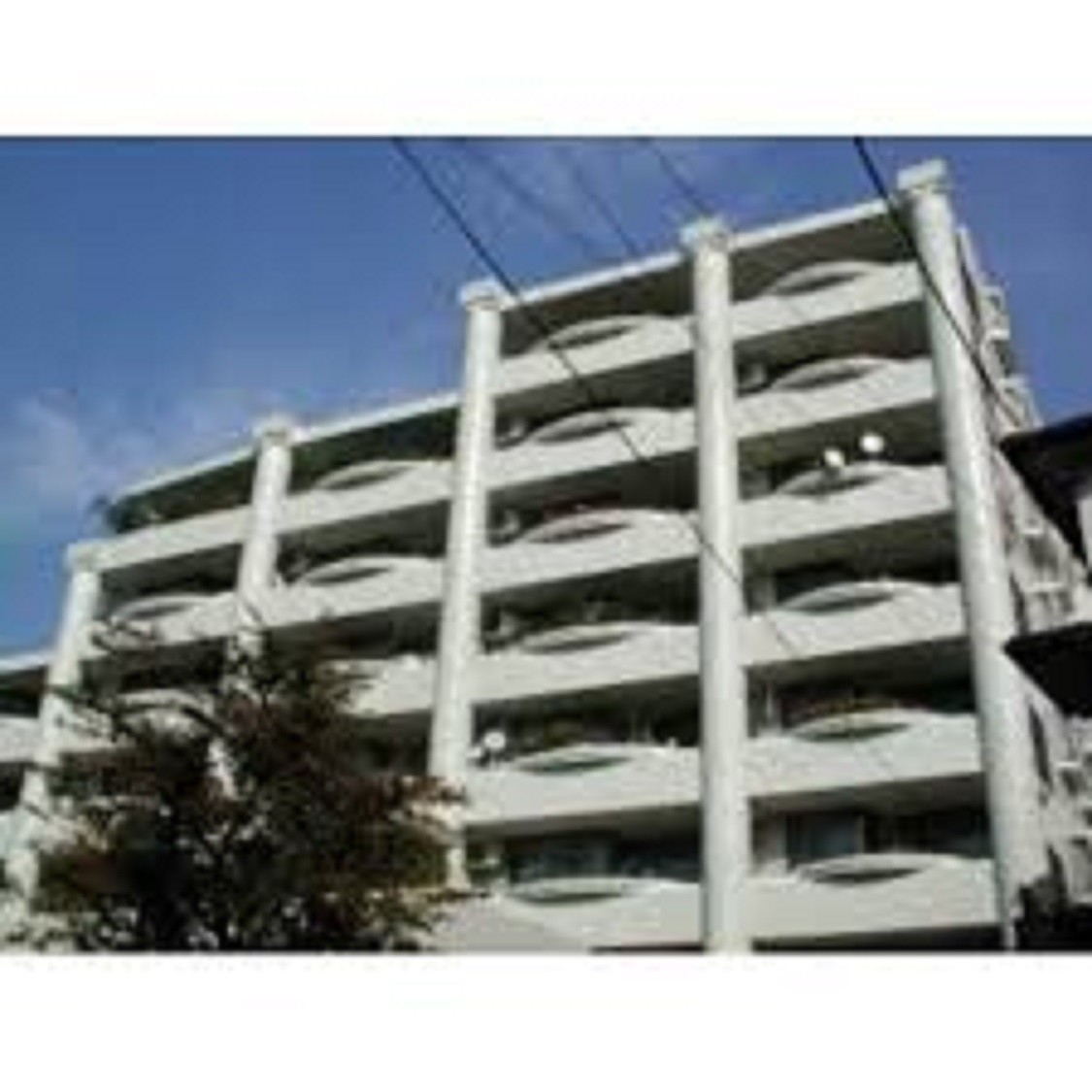 Tama Plaza Sky mansion east building | Housing Japan